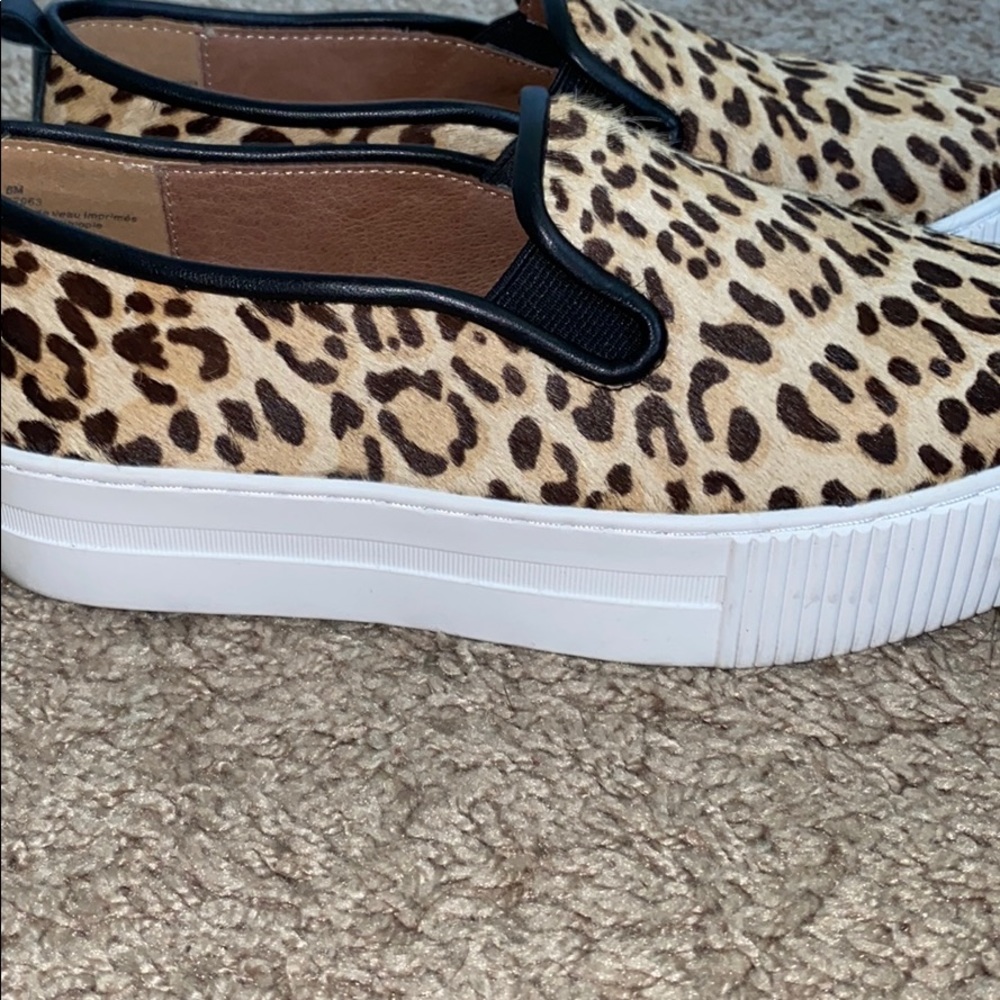 Stylish Shoes - Gem